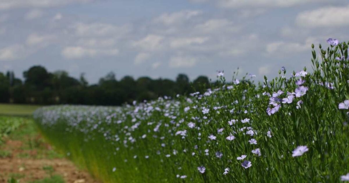 Verfproducent maakt Schiphol veiliger met biobased verf | Change Inc.