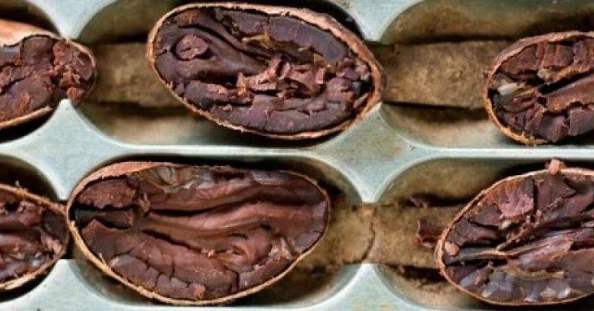 Chocolade verpakt in duurzaam choco-papier | Change Inc.