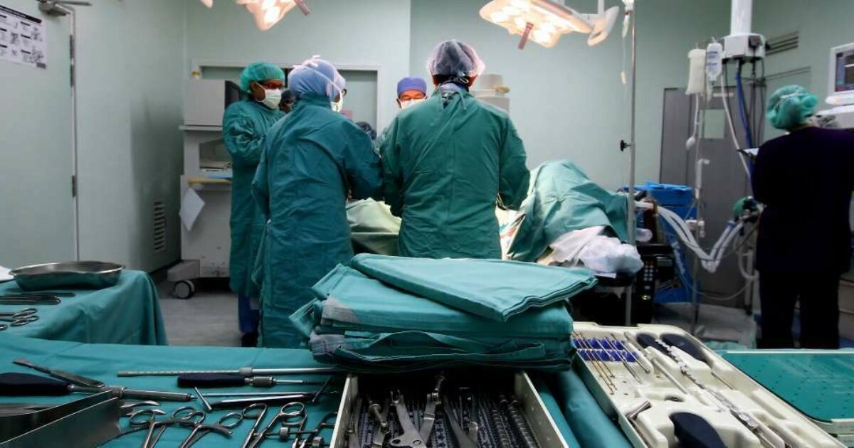 Radboudumc versnelt ontwikkeling van ‘biologische kunstnier’ | Change Inc.