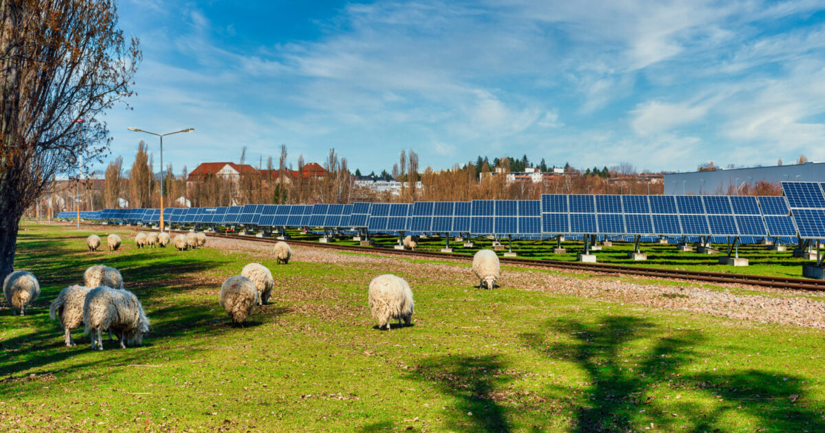 Dit plan moet Europa koploper in schone industrie en technologie maken ...