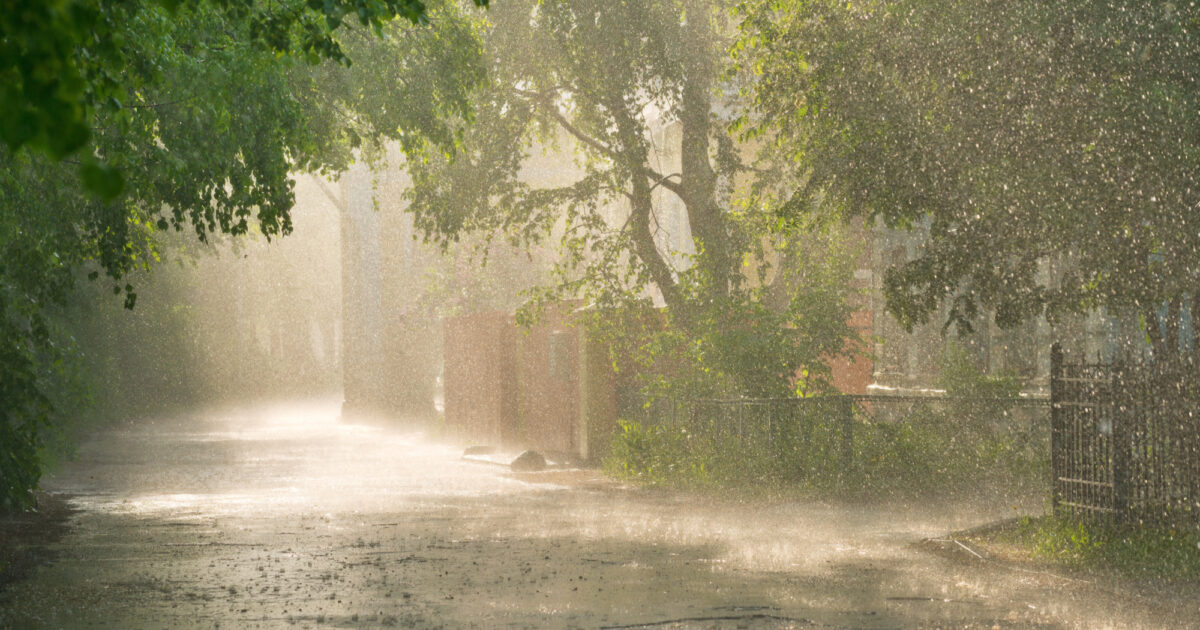 Het regent weer: 5x creatief met (regen)water | Change Inc.