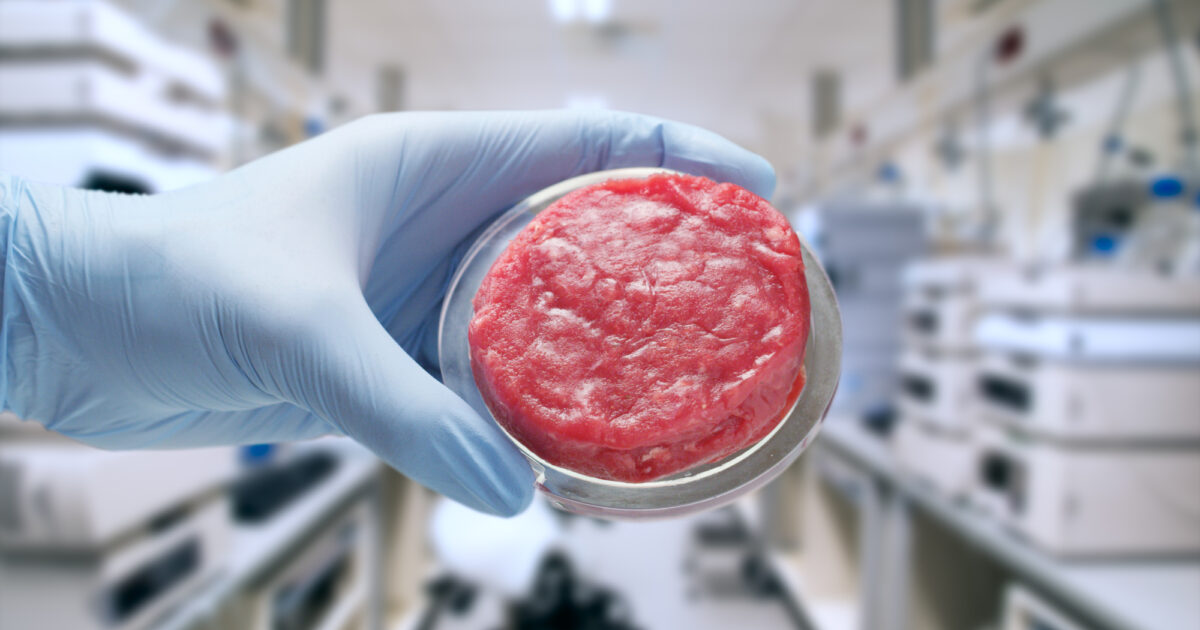 Wat is kweekvlees en hoe wordt het gemaakt? | Change Inc.