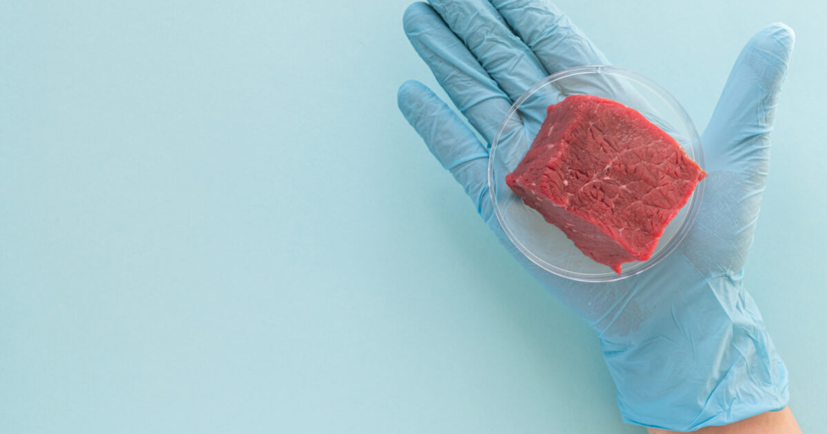 Nederlands bedrijf gaat kweekvlees-Wagyu in Europa produceren | Change Inc.