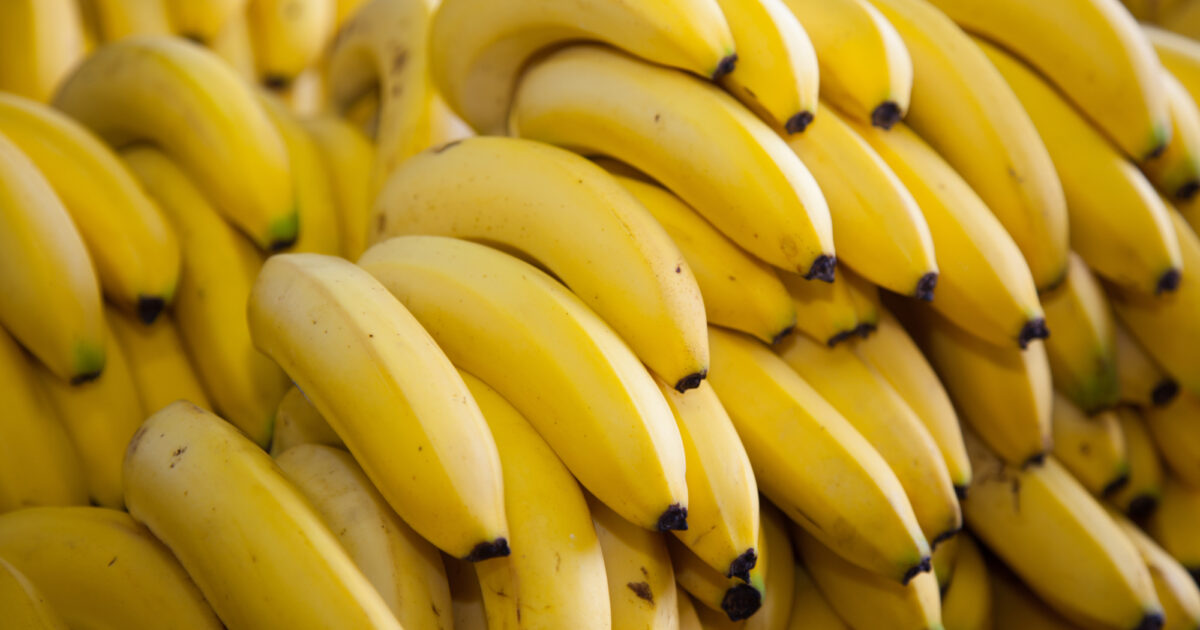 ’s Werelds eerste bananenpureefabriek staat in Geldermalsen | Change Inc.