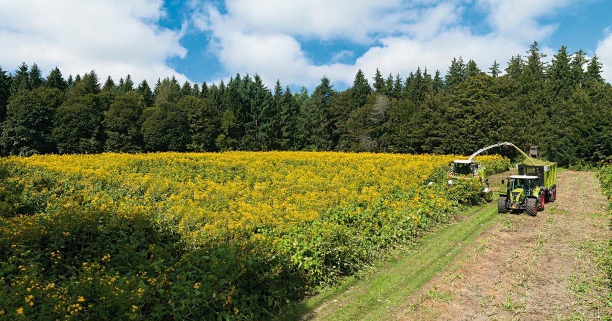 Steeds meer boeren oogsten huizen van het land | Change Inc.