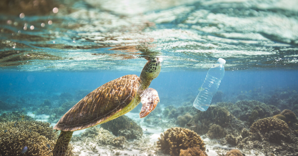 EU maakt 3,5 miljard vrij om oceanen te herstellen | Change Inc.