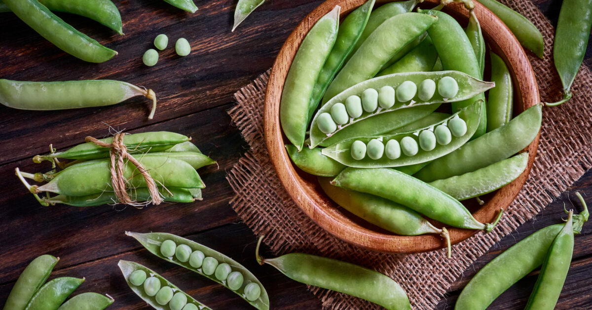 Met zeewier en reststromen van peulvruchten wil Europa zijn eiwitten veiligstellen | Change Inc.