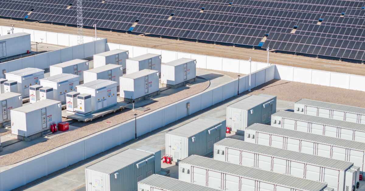 Lion Storage gaat de leeuwenkoning van de batterijen bouwen | Change Inc.