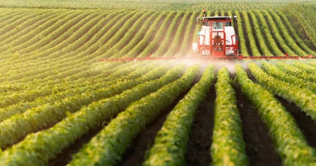 Duurzame landbouw door waterapparaat op zonnestroom | Change Inc.