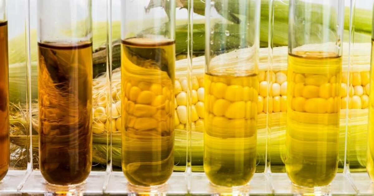 Scania verduurzaamt transportvloot door gebruik biobrandstof | Change Inc.