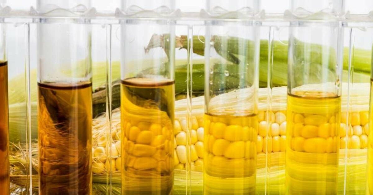 Hoe gaan we van fossiele brandstoffen naar biobased grondstoffen ...