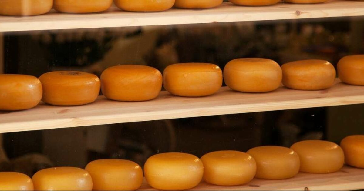 Cono Kaasmakers gaat leden belonen voor duurzaamheid | Change Inc.