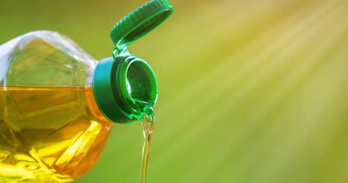 Spons maakt biodiesel van kookolie | Change Inc.