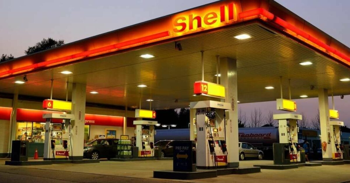 Shell koopt verantwoorder vlees van Nederlandse bodem in | Change Inc.
