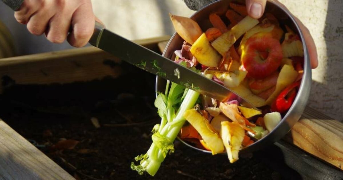 Bioplastic composteert net zo goed als gft-afval | Change Inc.