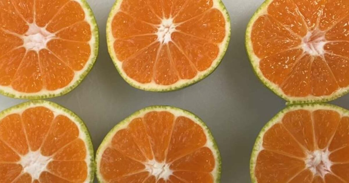 Waarom Tesco groene mandarijnen verkoopt | Change Inc.