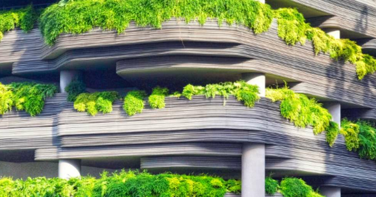 Eindhoven wil oud V&D-pand omtoveren tot groen gebouw | Change Inc.