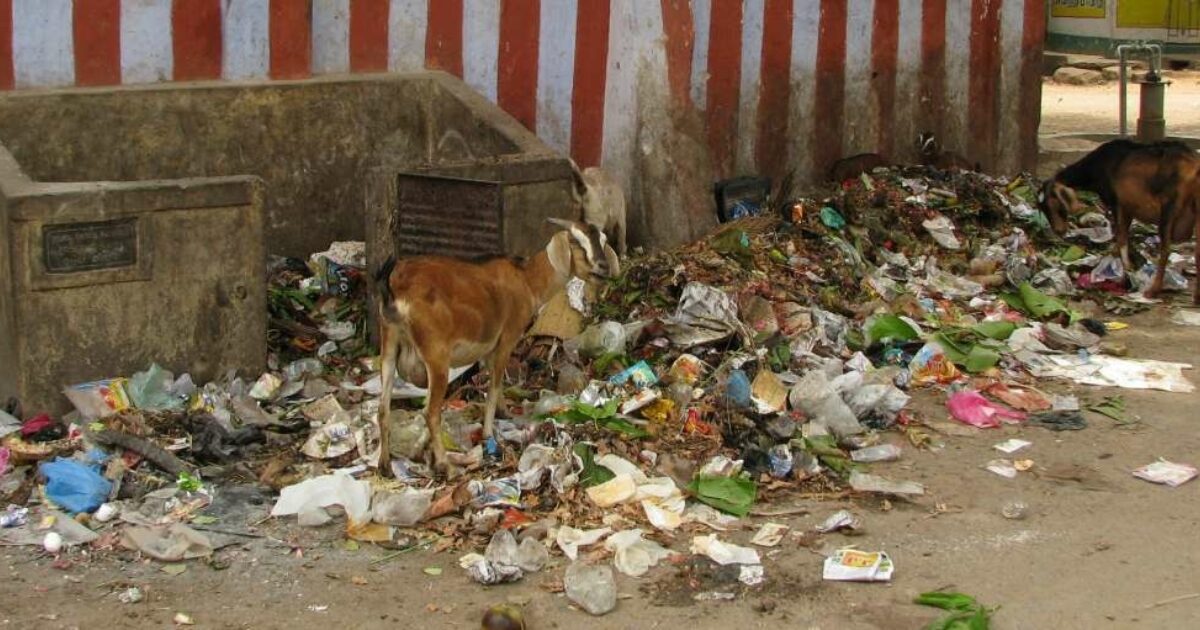 India verplicht hergebruik plastic afval voor duurzame wegen | Change Inc.