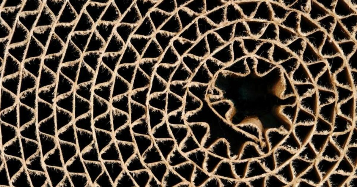 Design challenge: plastic soep tegengaan met innovatie | Change Inc.