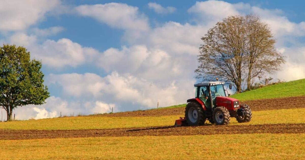 Landbouworganisatie VN: ‘Gezonde bodem essentieel voor tegengaan ...