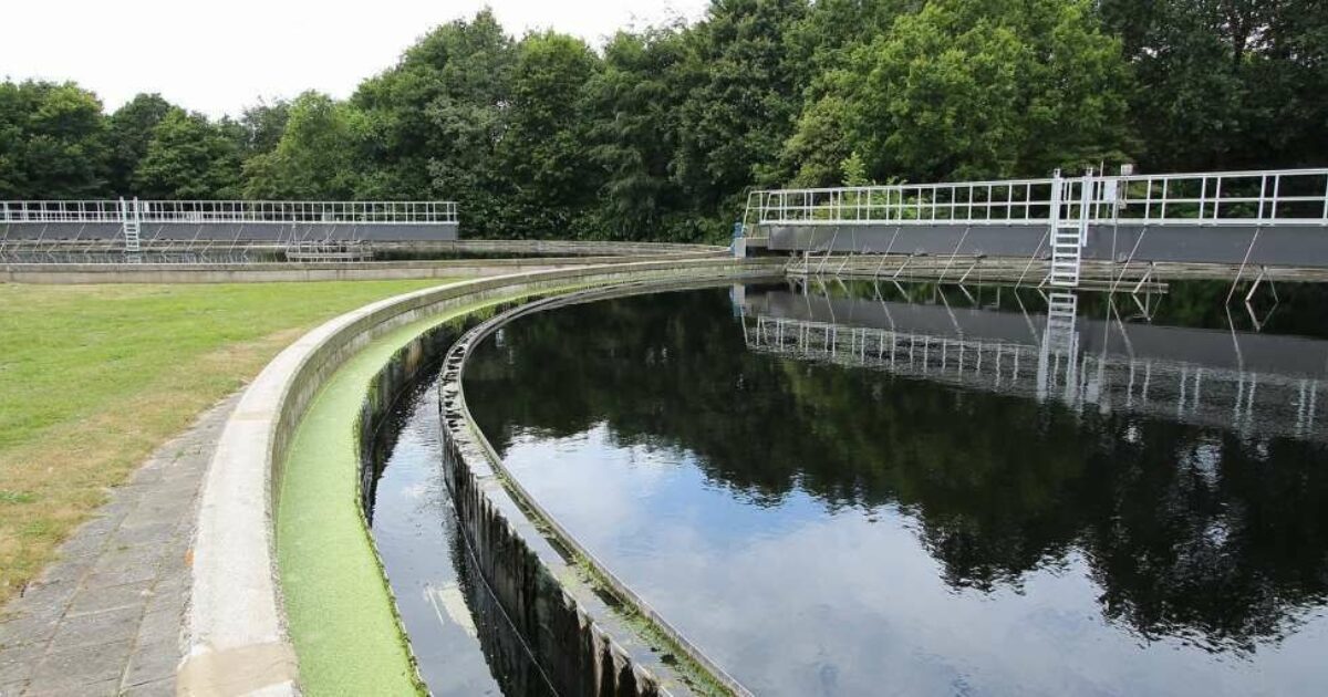 Cellulose uit rioolwater gaat de wereld over | Change Inc.