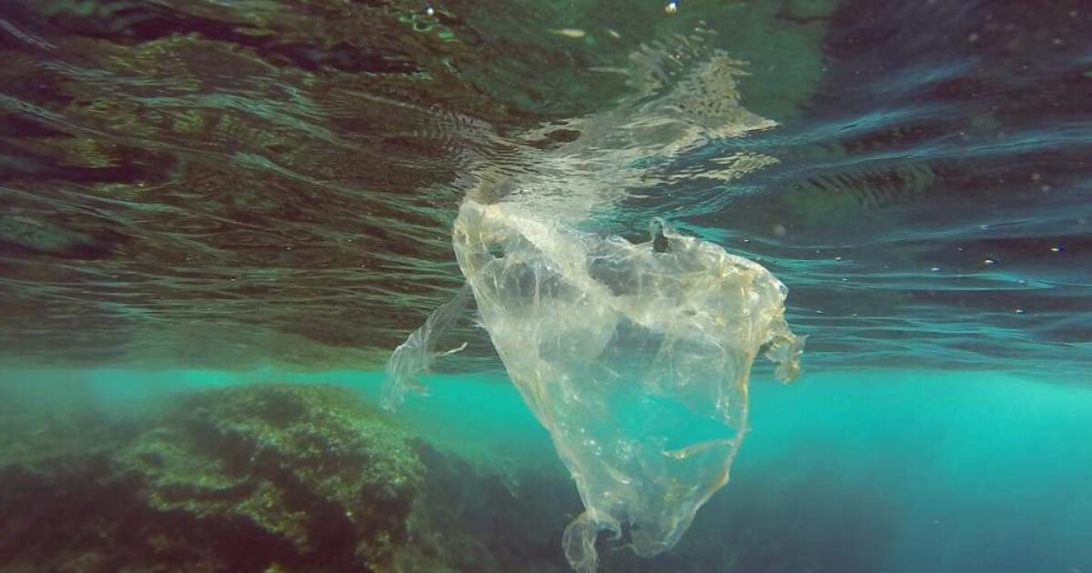 Infographic: Recycling van plastic, grote ambities en uitdagingen ...