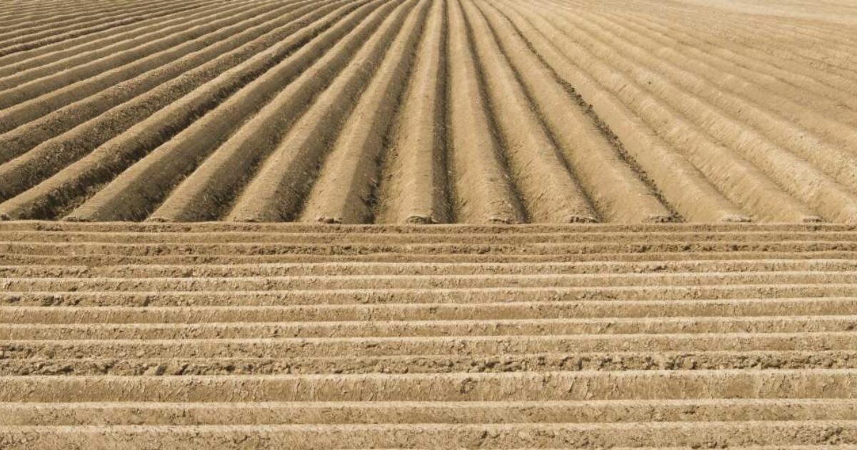 Routewijzer voor duurzame gewasbescherming in akkerbouw | Change Inc.