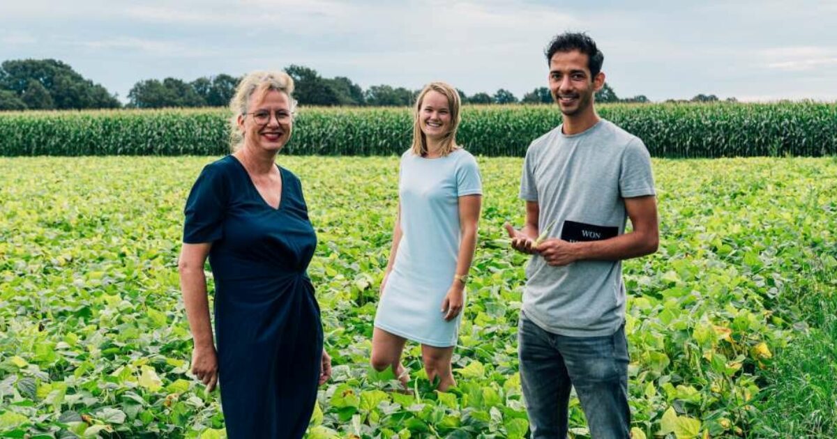 De veldboon: van veevoer tot vleesvervanger | Change Inc.