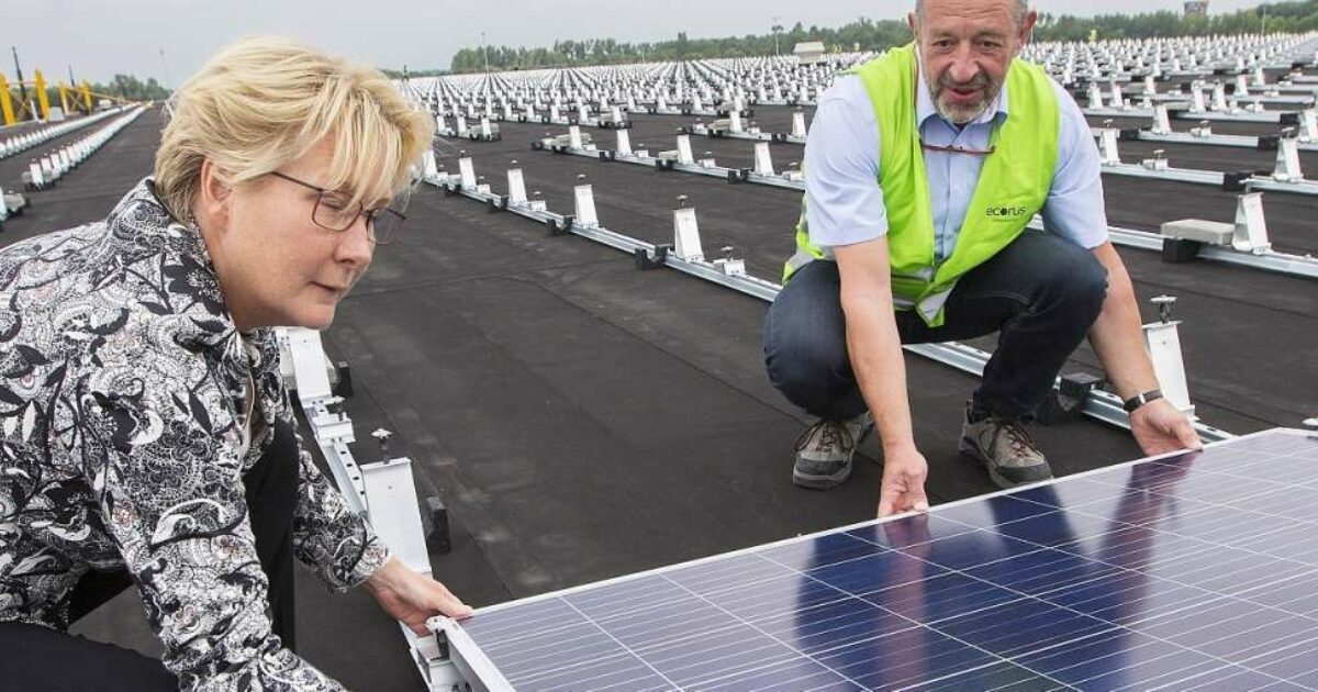 Albert Heijn legt ruim 10.000 zonnepanelen op dc in Pijnacker | Change Inc.