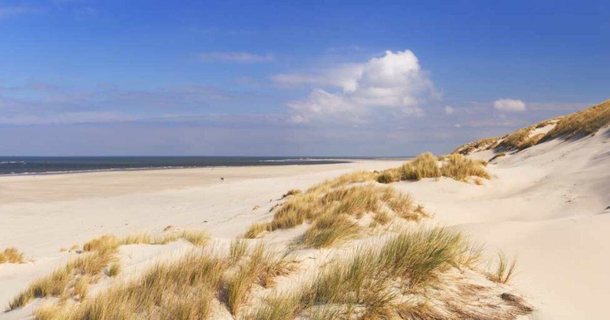 Wat we kunnen leren van de Waddeneilanden | Change Inc.