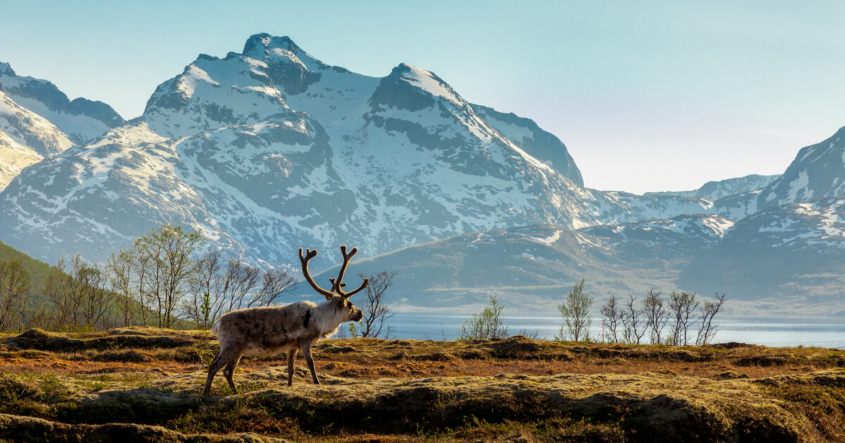 Karmijn Kapitaal | Change Inc.