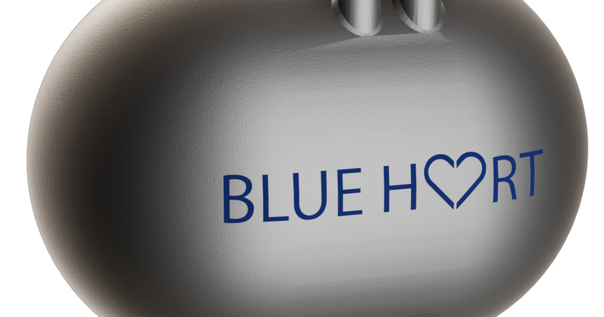 Blue Heart Energy | Change Inc.
