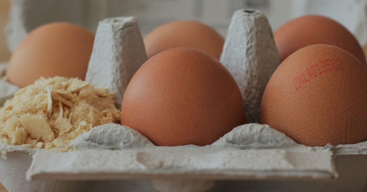 FUMI Ingredients | Change Inc.