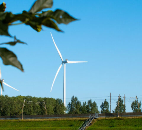 Pure energie | Change Inc.